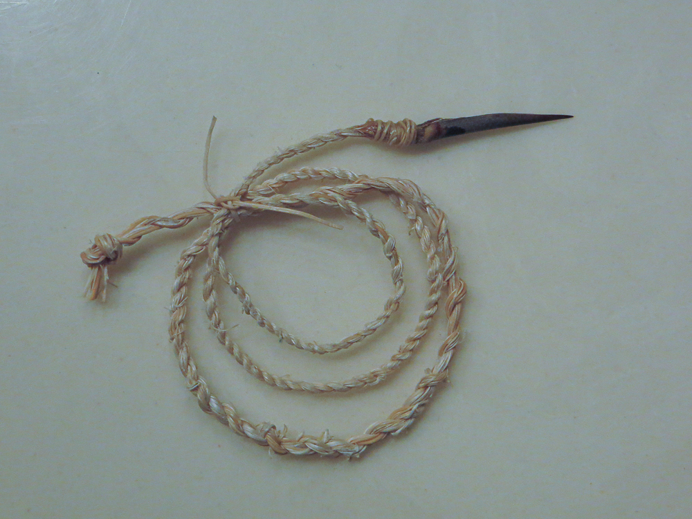 Ask A Curator | Santa Barbara Museum of Natural History