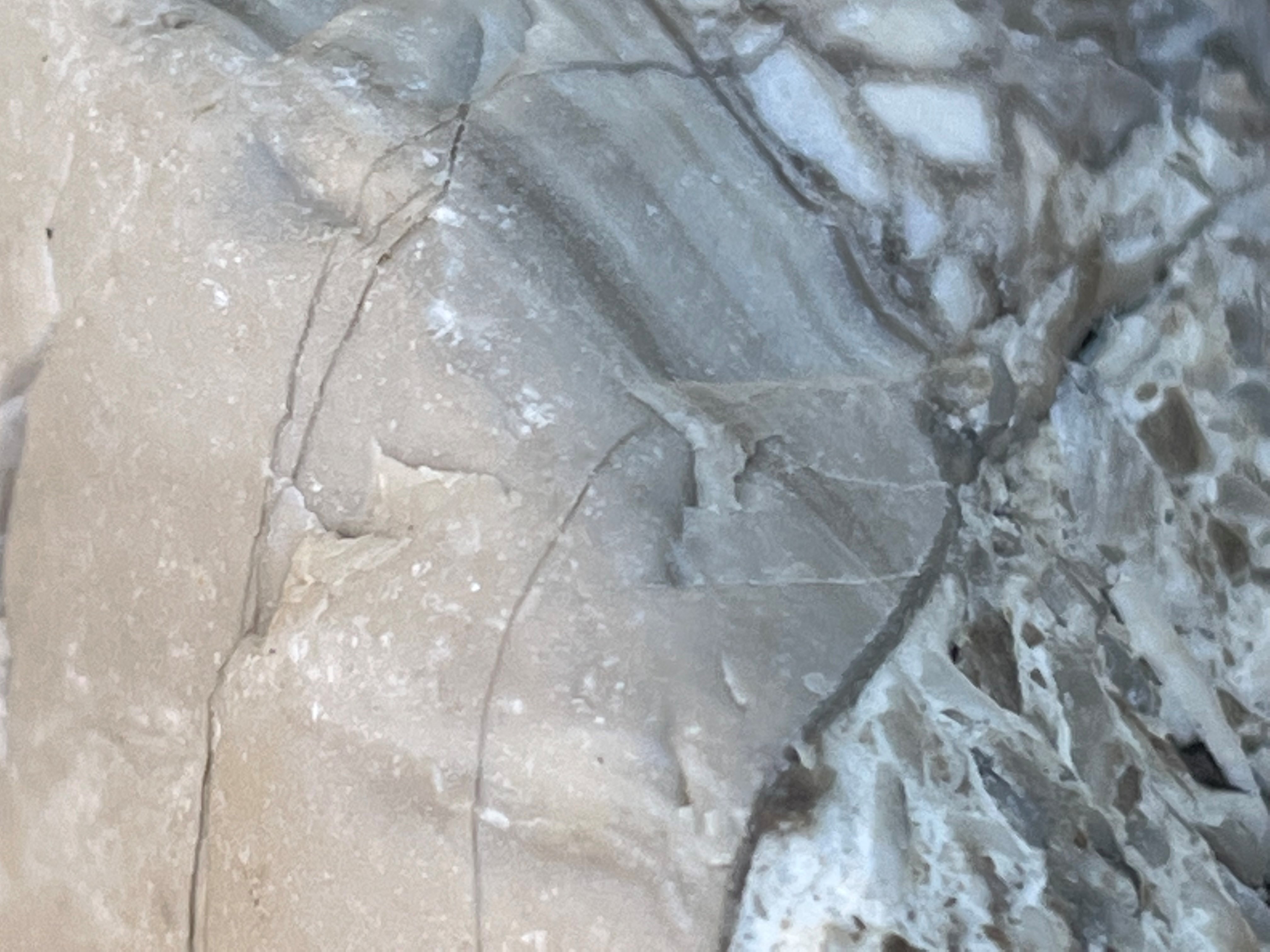 Ask A Curator | Santa Barbara Museum of Natural History