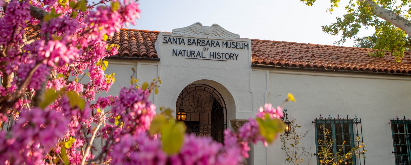 About the Museum | Santa Barbara Museum of Natural History