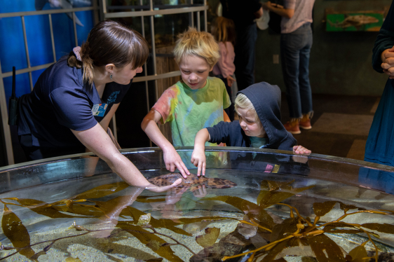Santa Barbara Museum of Natural History
