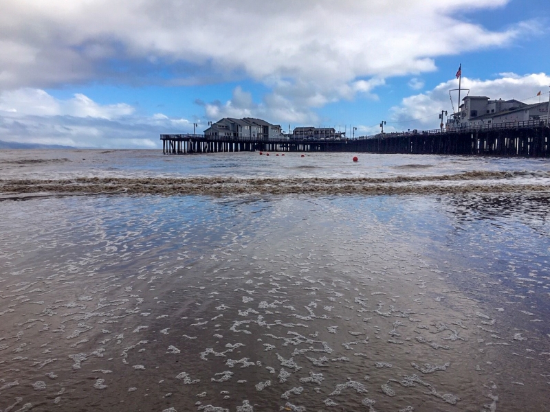 Sea Center | Santa Barbara Museum of Natural History