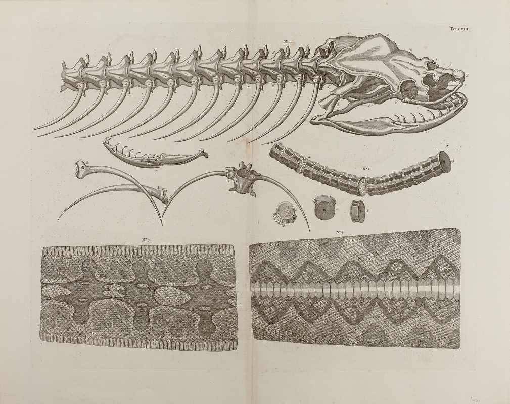Strange Science | Santa Barbara Museum of Natural History