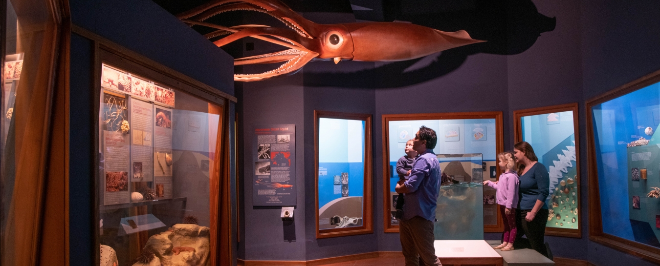Earth & Marine Sciences | Santa Barbara Museum of Natural History