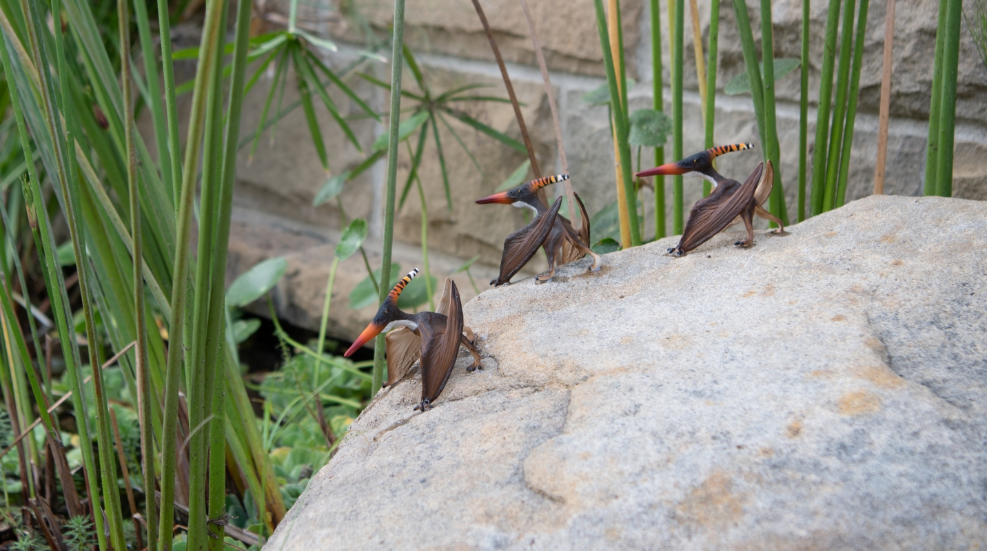 Dinorama | Santa Barbara Museum of Natural History