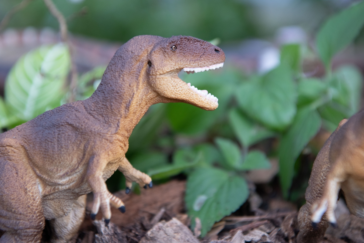 Dinorama | Santa Barbara Museum of Natural History