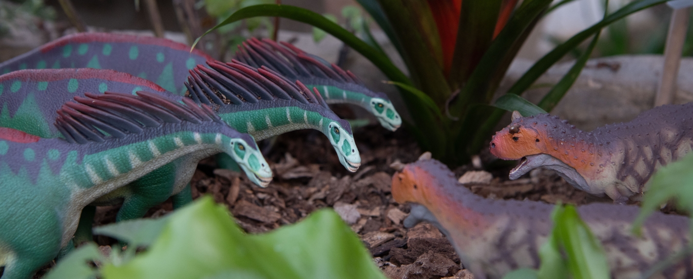 Dinorama | Santa Barbara Museum of Natural History