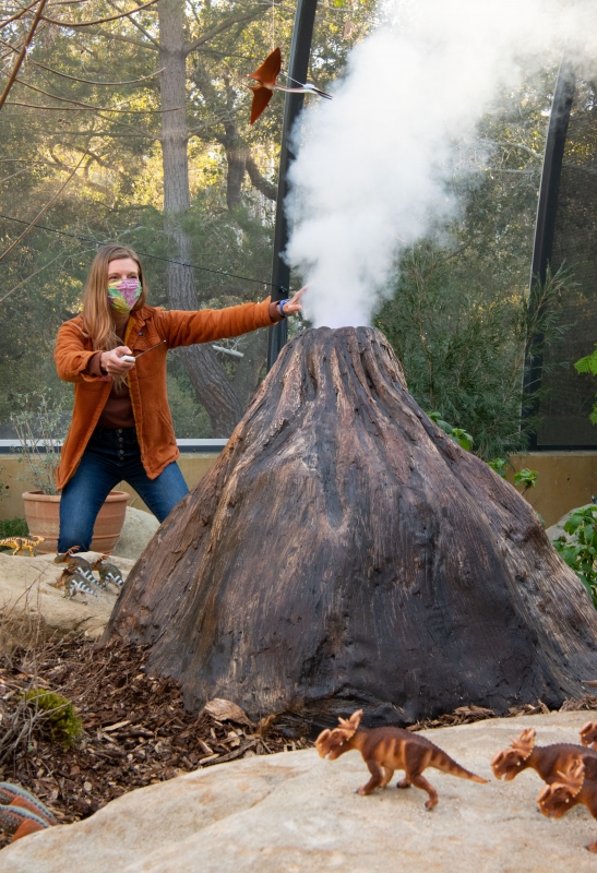 Dinorama | Santa Barbara Museum of Natural History