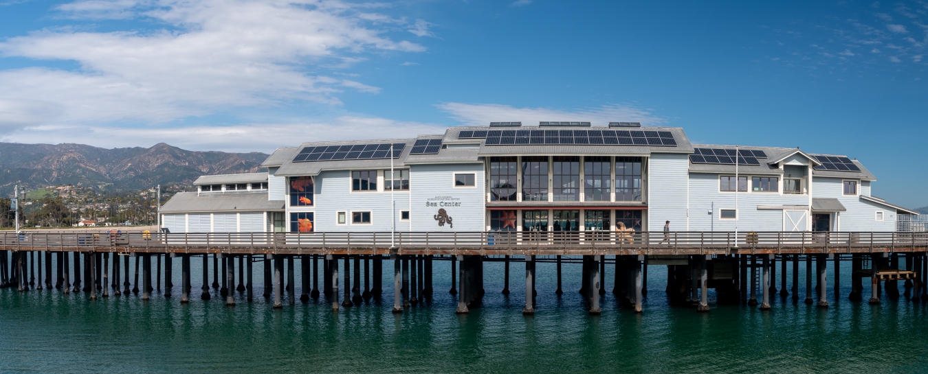 Sea Center Opens at Noon | Santa Barbara Museum of Natural History