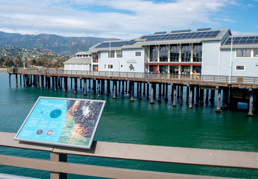 Storytime at the Sea Center | Santa Barbara Museum of Natural History