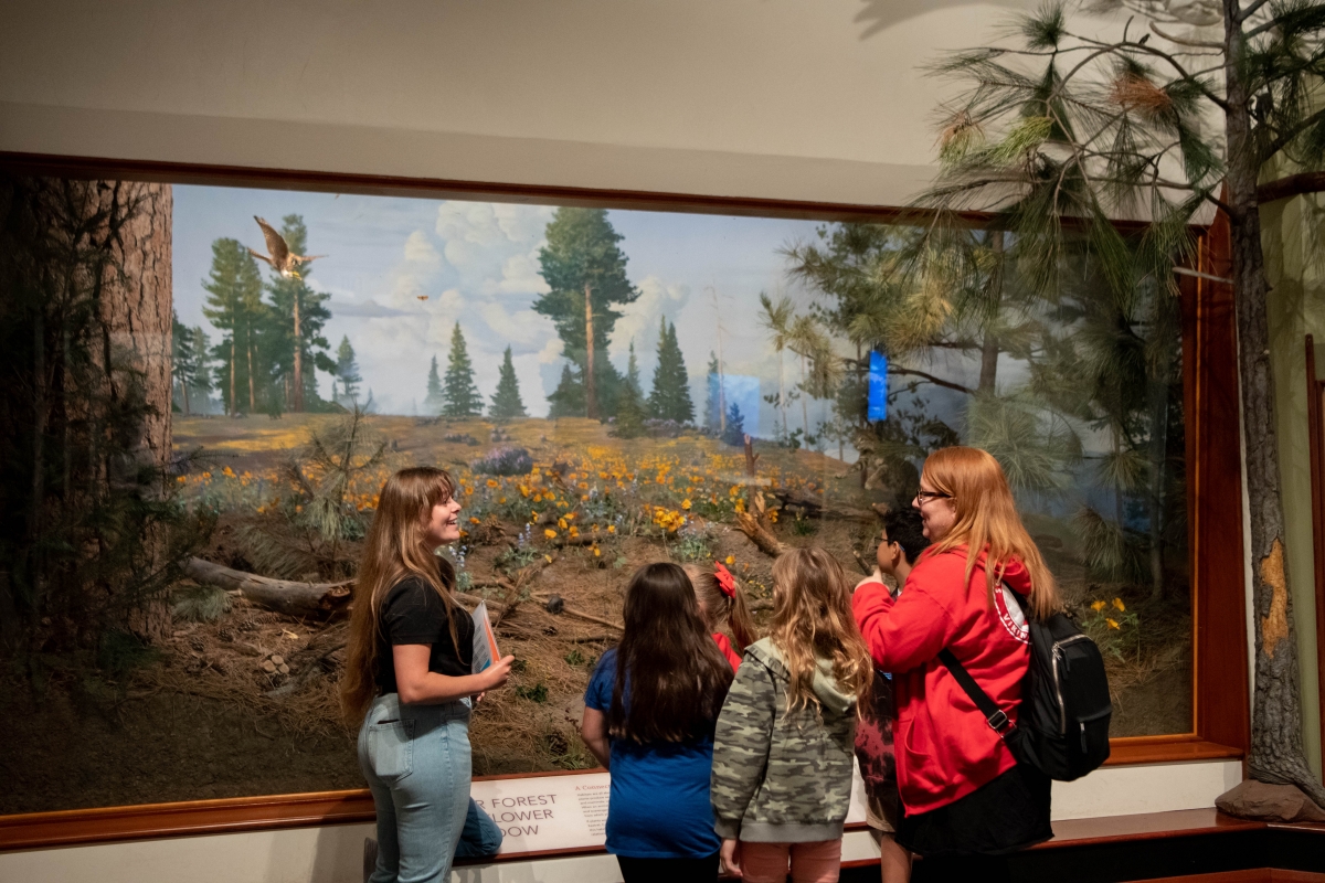 Santa Barbara Gallery | Santa Barbara Museum of Natural History