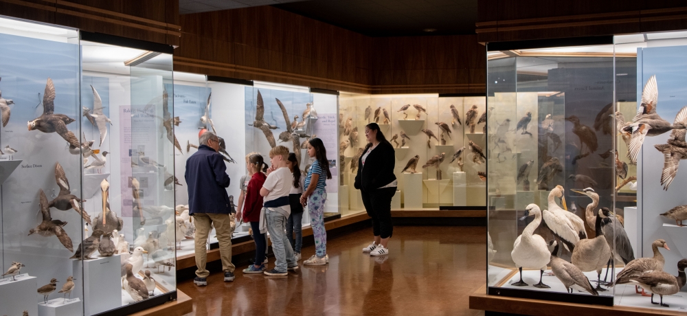 Exhibitions | Santa Barbara Museum of Natural History