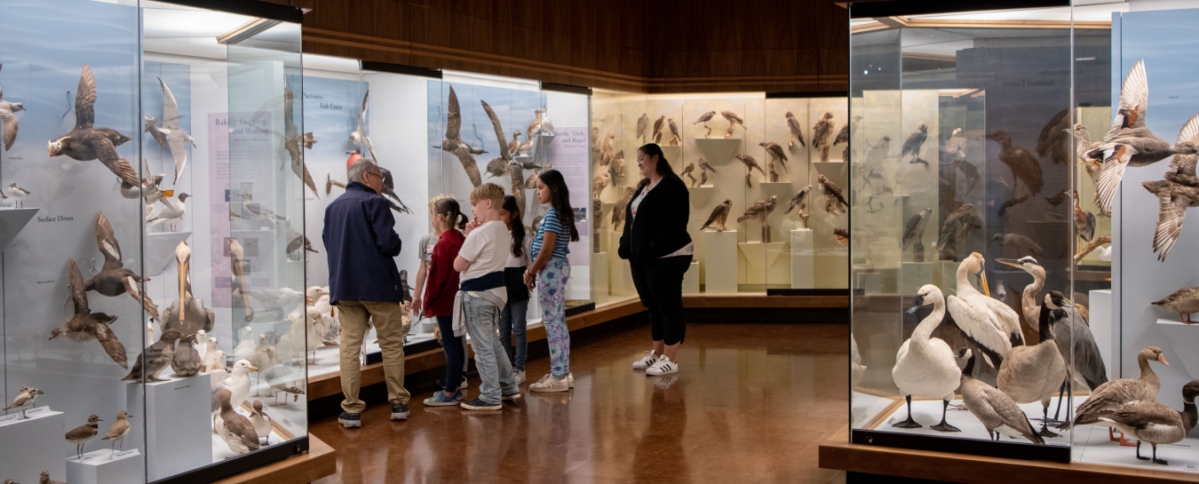 Bird Hall | Santa Barbara Museum of Natural History