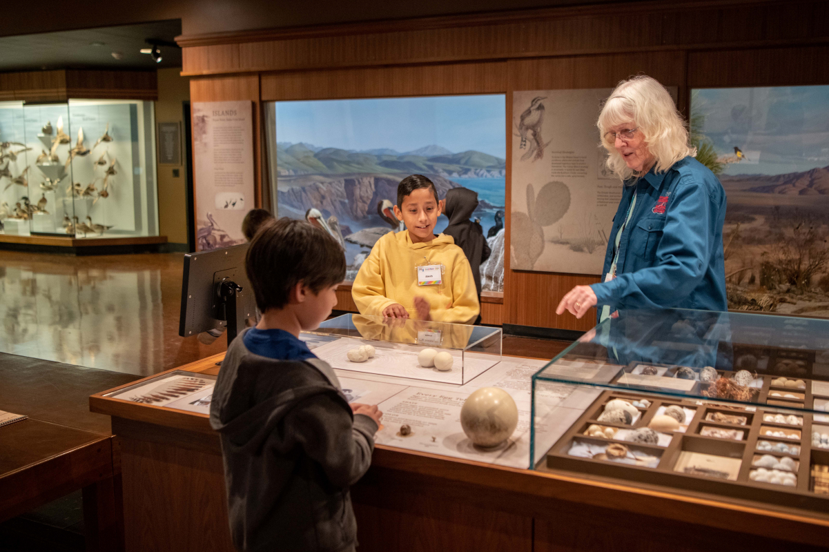 Bird Hall | Santa Barbara Museum of Natural History