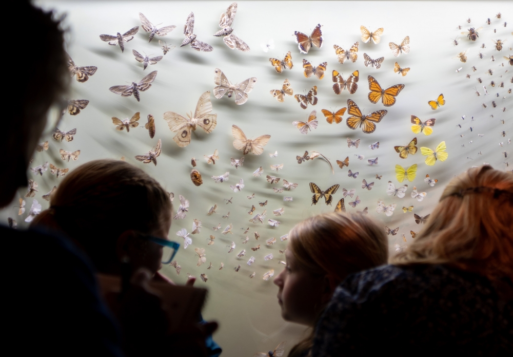 Behind the Glass: Insider Hall Tour | Santa Barbara Museum of Natural ...