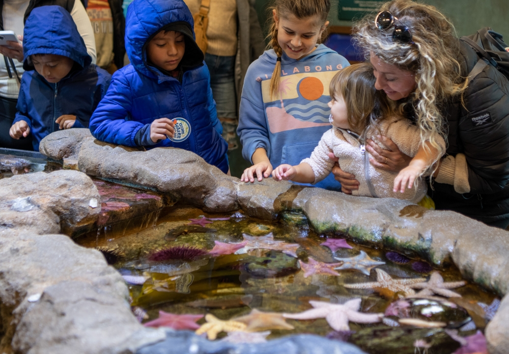 World Oceans Day | Free Admission at the Sea Center | Santa Barbara ...