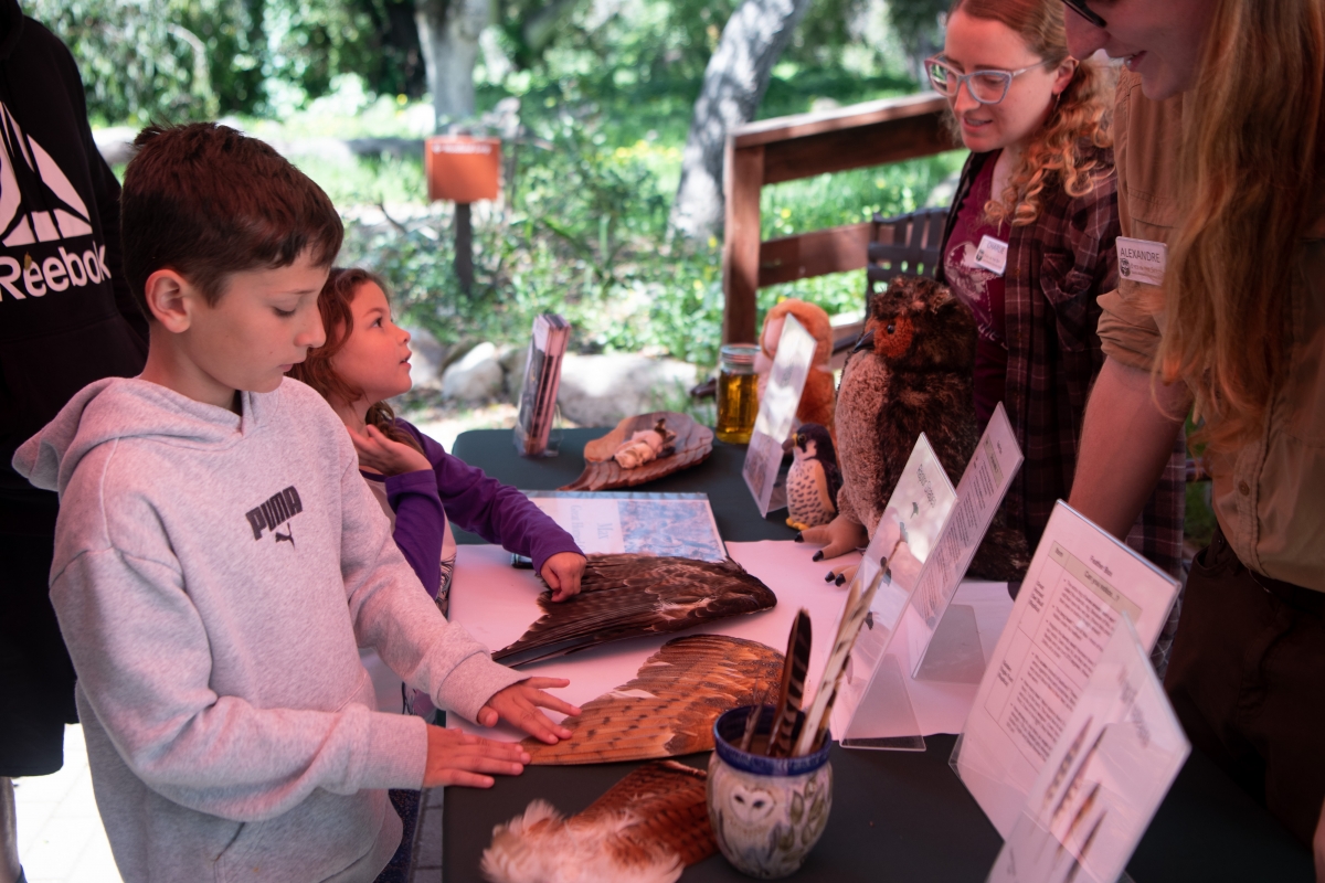 Museum Backyard & Nature Club House | Santa Barbara Museum of Natural ...
