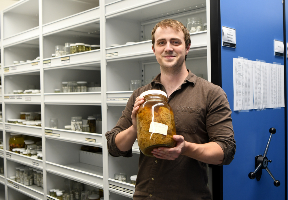 Cocktails with a Curator: Sip & Sea | Santa Barbara Museum of Natural ...