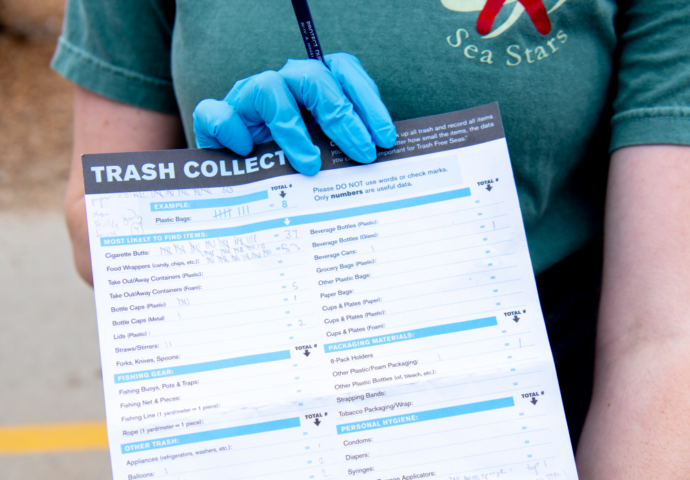 Beach Cleanup | Santa Barbara Museum of Natural History