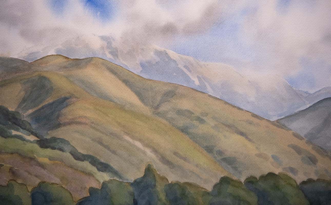 The Artist's Table Art Show | Santa Barbara Museum of Natural History