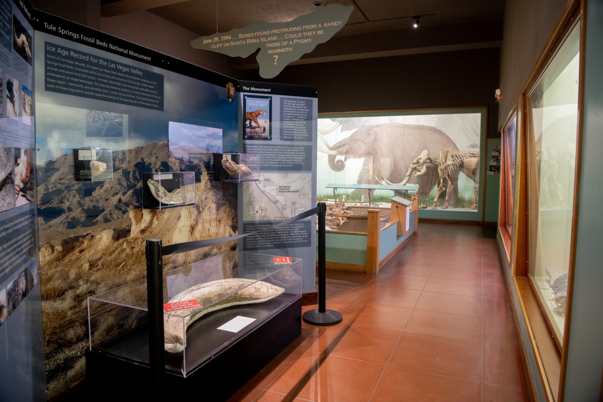 Earth & Marine Sciences | Santa Barbara Museum of Natural History