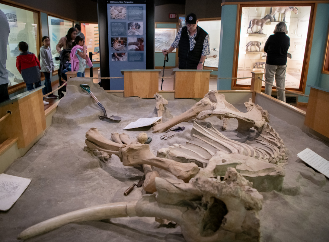 Earth & Marine Sciences | Santa Barbara Museum of Natural History