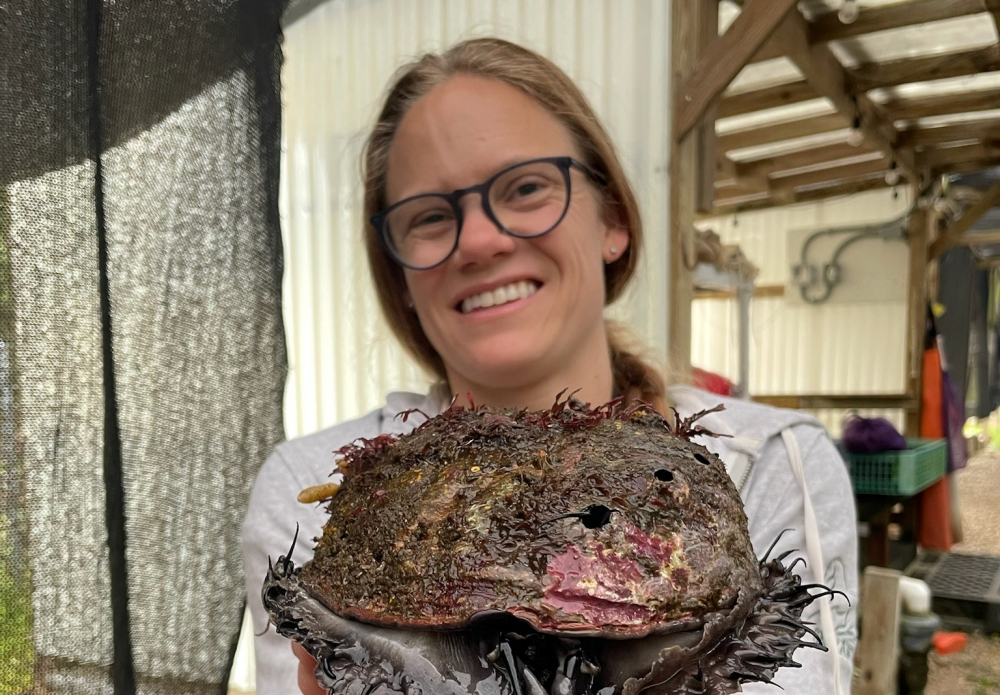 Science Pub: Reviving Abalone, CA’s Heritage Seafood | Santa Barbara ...