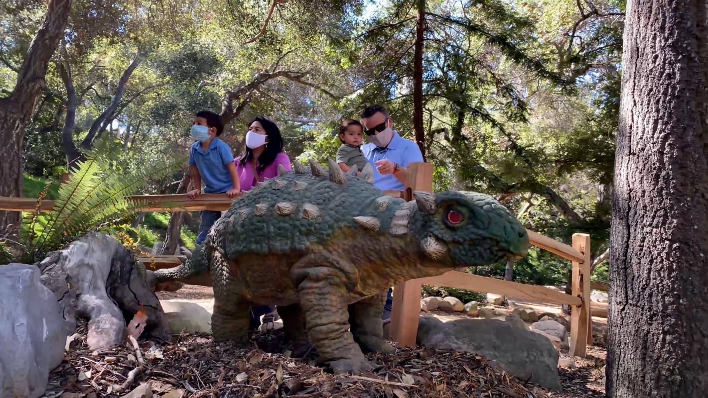 Prehistoric Forest | Santa Barbara Museum of Natural History