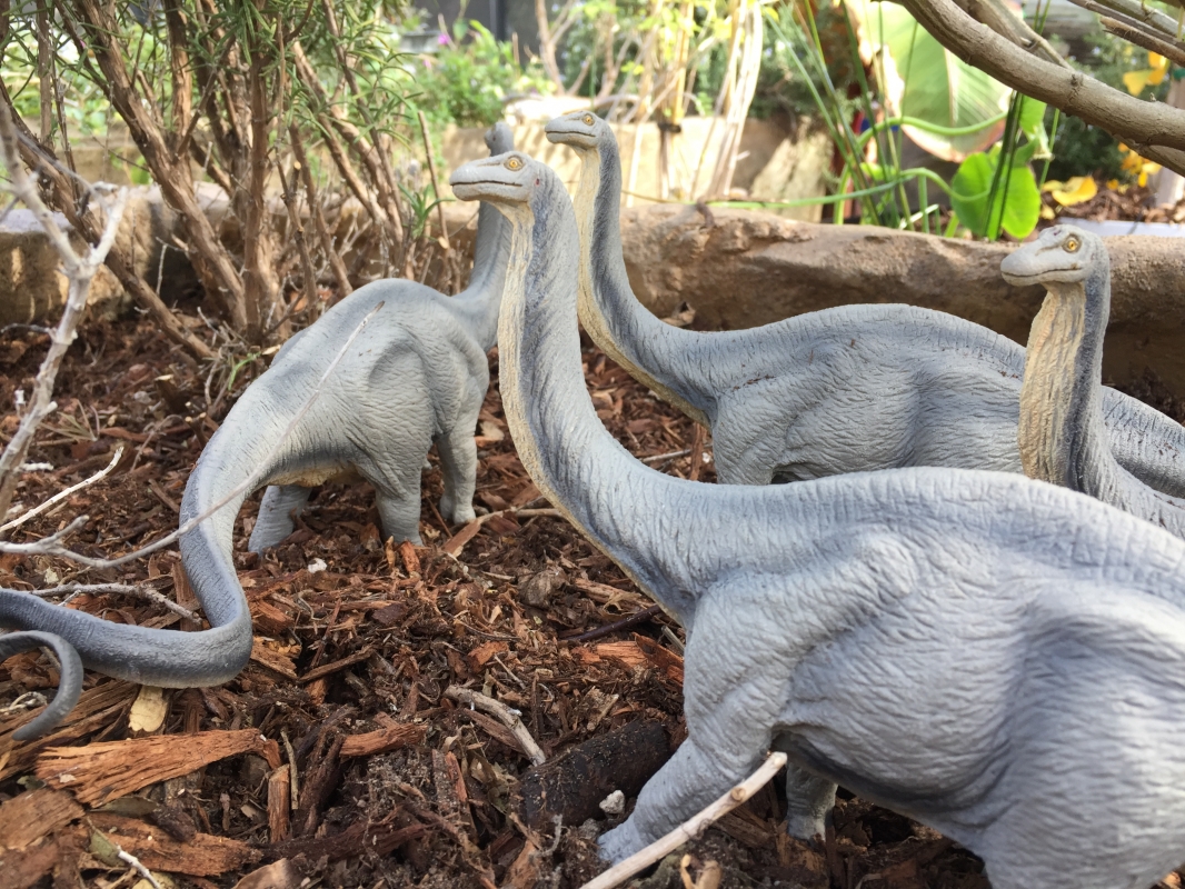 Dinorama | Santa Barbara Museum of Natural History