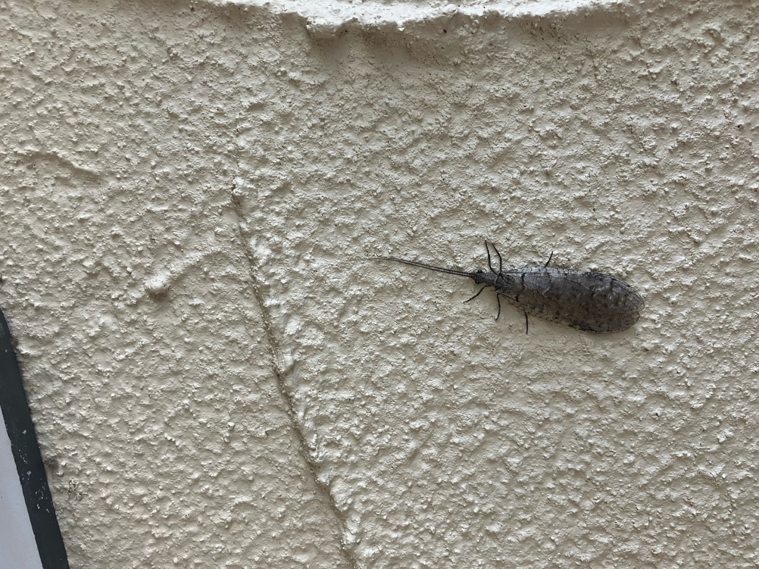 Ask A Curator | Santa Barbara Museum of Natural History