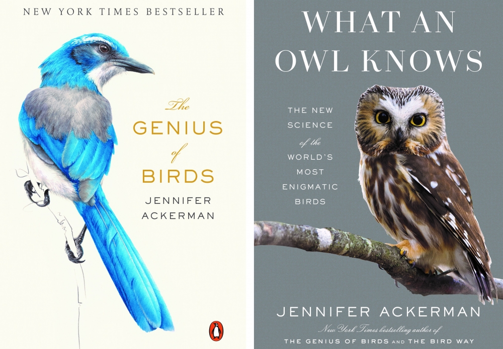 What an Owl Knows: The New Science of the World's Most Enigmatic Bird ...