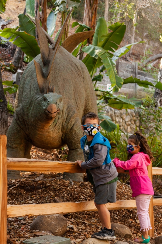 Prehistoric Forest | Santa Barbara Museum of Natural History