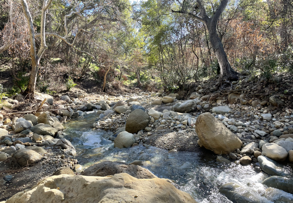 Science Pub: SoCal Steelhead at Arroyo Hondo | Santa Barbara Museum of ...