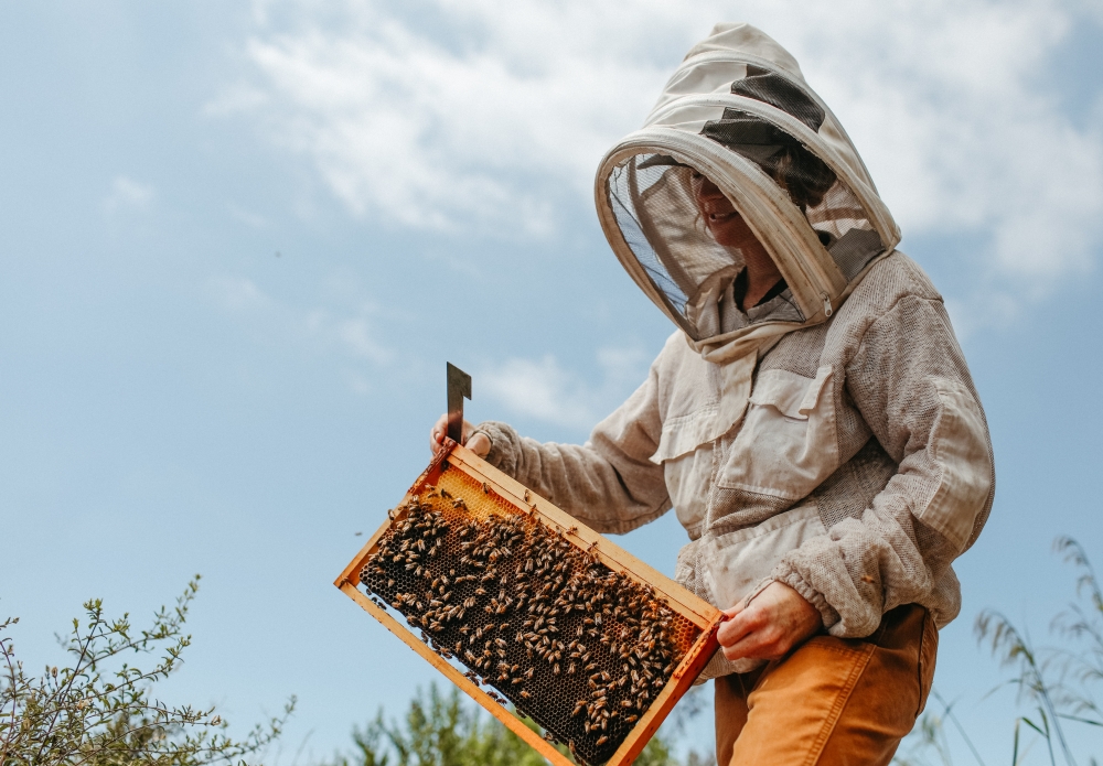 Science Pub: The Happiness of the Bee | Santa Barbara Museum of Natural History